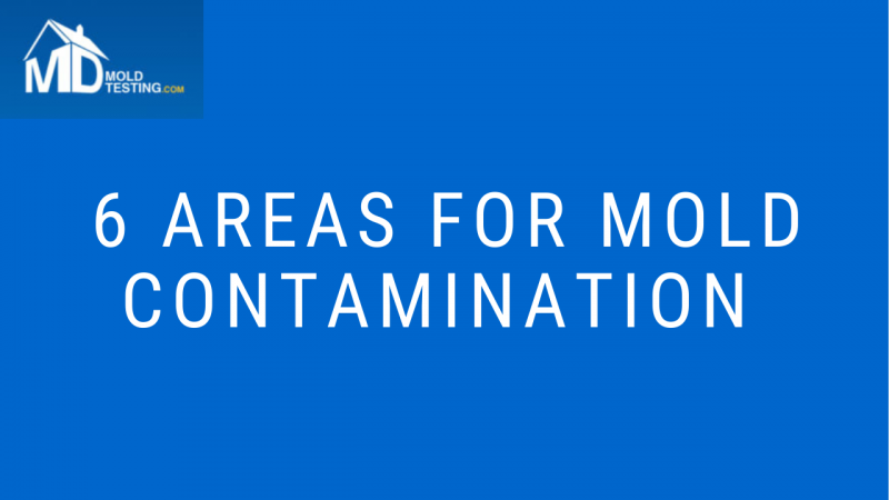 6 Common Areas For Mold Contamination In Your Rockville Maryland Home ...