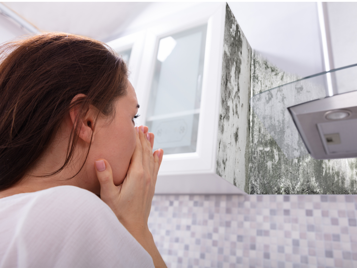 Mold Testing Pros Blog - Mold Testing Pros Directory of Mold Testing ...