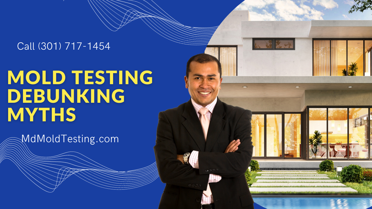 Mold Testing: Debunking Common Myths and Misconceptions in Chevy Chase ... Mold Testing: Debunking Common Myths and Misconceptions in Chevy Chase ...