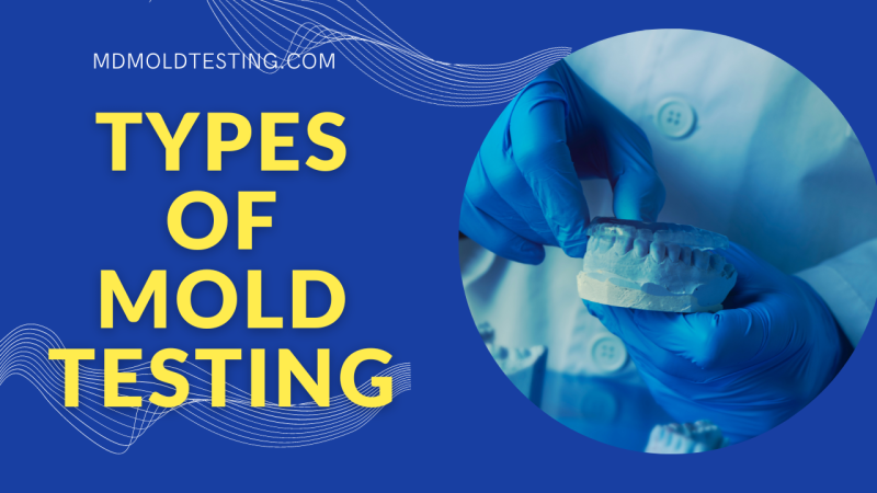What are the different types of mold tests, and how do I choose the ...