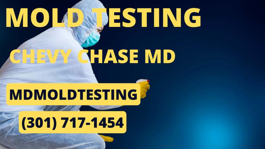 Top 10 Mold Testing Companies in Chevy Chase, Maryland: Breathe Easy in ...